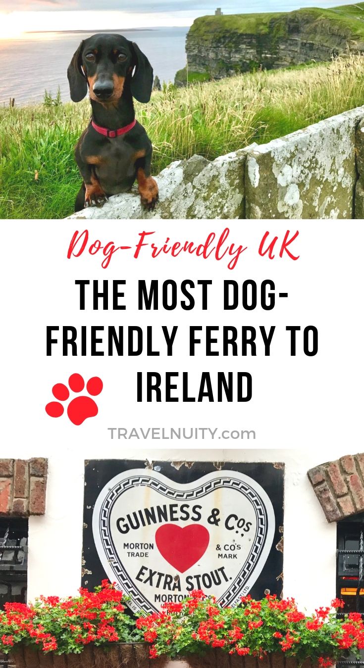 The Most Dog-Friendly Ferry to All of Ireland - Travelnuity