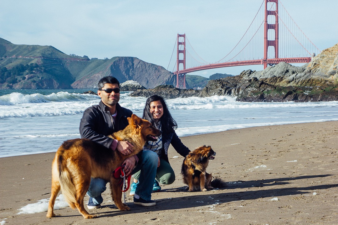 Dog-Friendly San Francisco: A Resident Dog Mom's Guide - Travelnuity