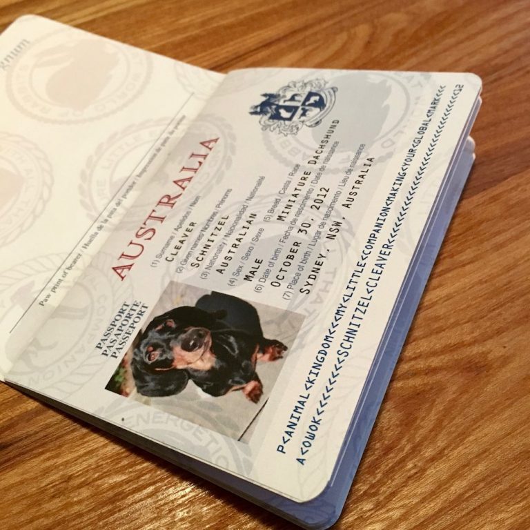 What is a Pet Passport & Does Your Pet Need One? - Travelnuity