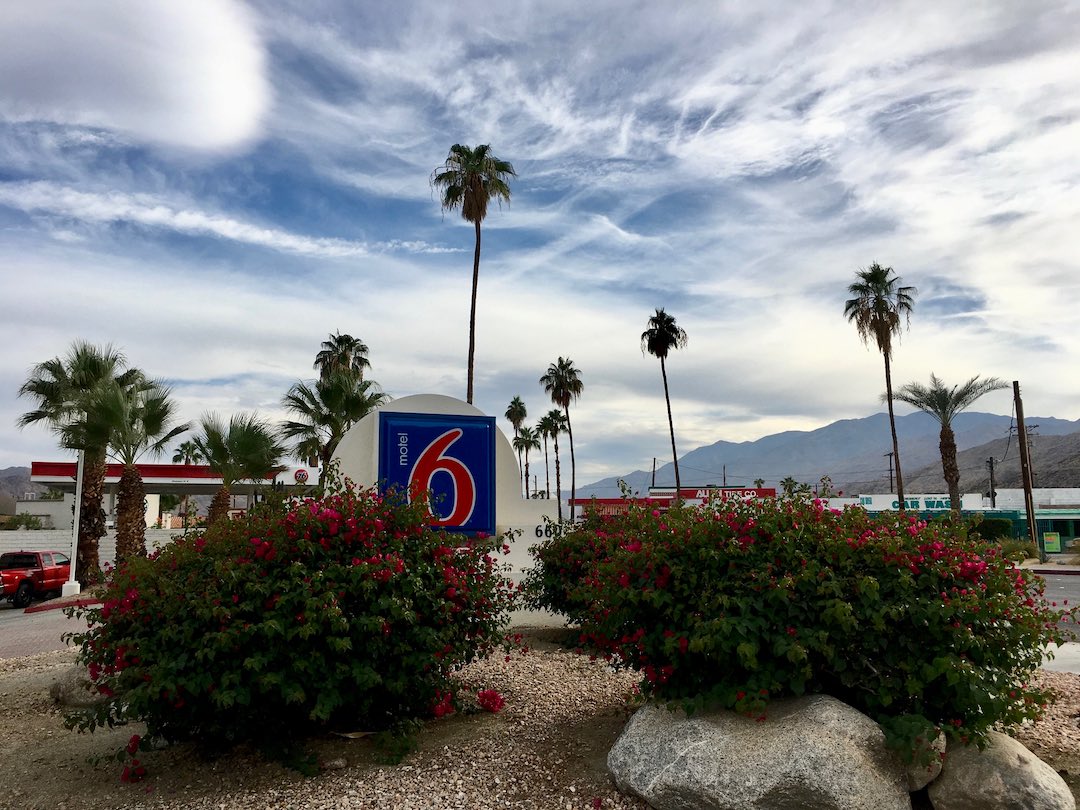 9 Tips for Staying in a Pet-Friendly Hotel with Your Dog - Travelnuity