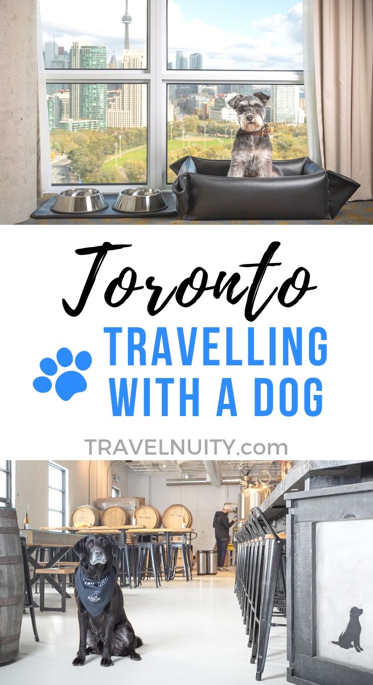Dog-Friendly Toronto, CA: Visiting Toronto with a Dog - Travelnuity