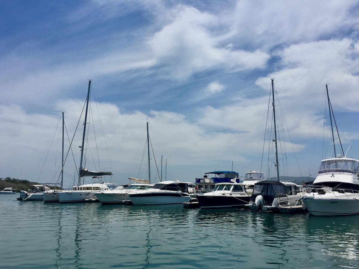 Dog-Friendly Port Stephens, NSW: Visiting with a Dog - Travelnuity