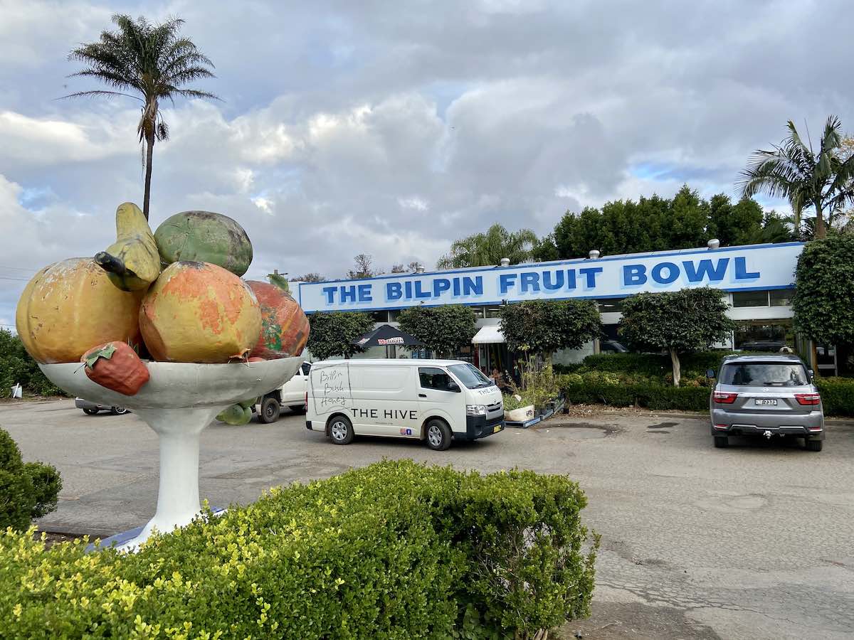 Dog-Friendly Blue Mountains: Visiting with a Dog - Travelnuity