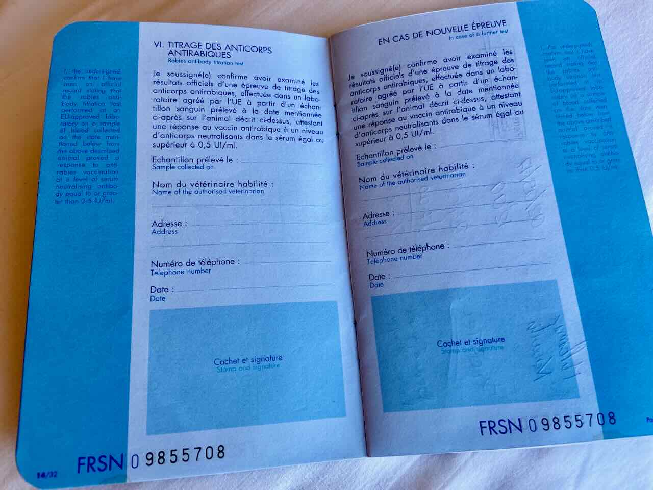 Rules to Travel With a Dog Between European Countries - Travelnuity