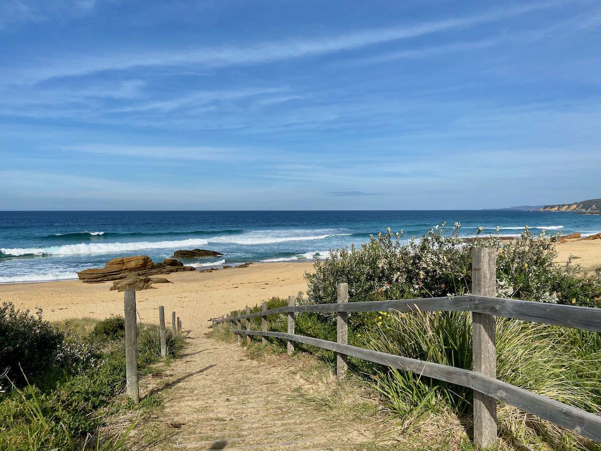 Dog-Friendly Far South Coast, NSW: Visiting with a Dog - Travelnuity