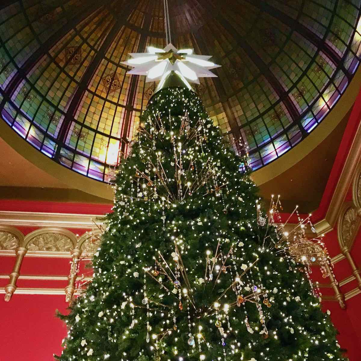 12 Fun Facts About Christmas In Australia Travelnuity 12-fun-facts-about-christmas-in-australia-travelnuity