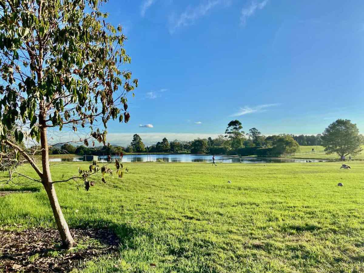 41 of the Best Fenced Dog Parks in NSW - Travelnuity