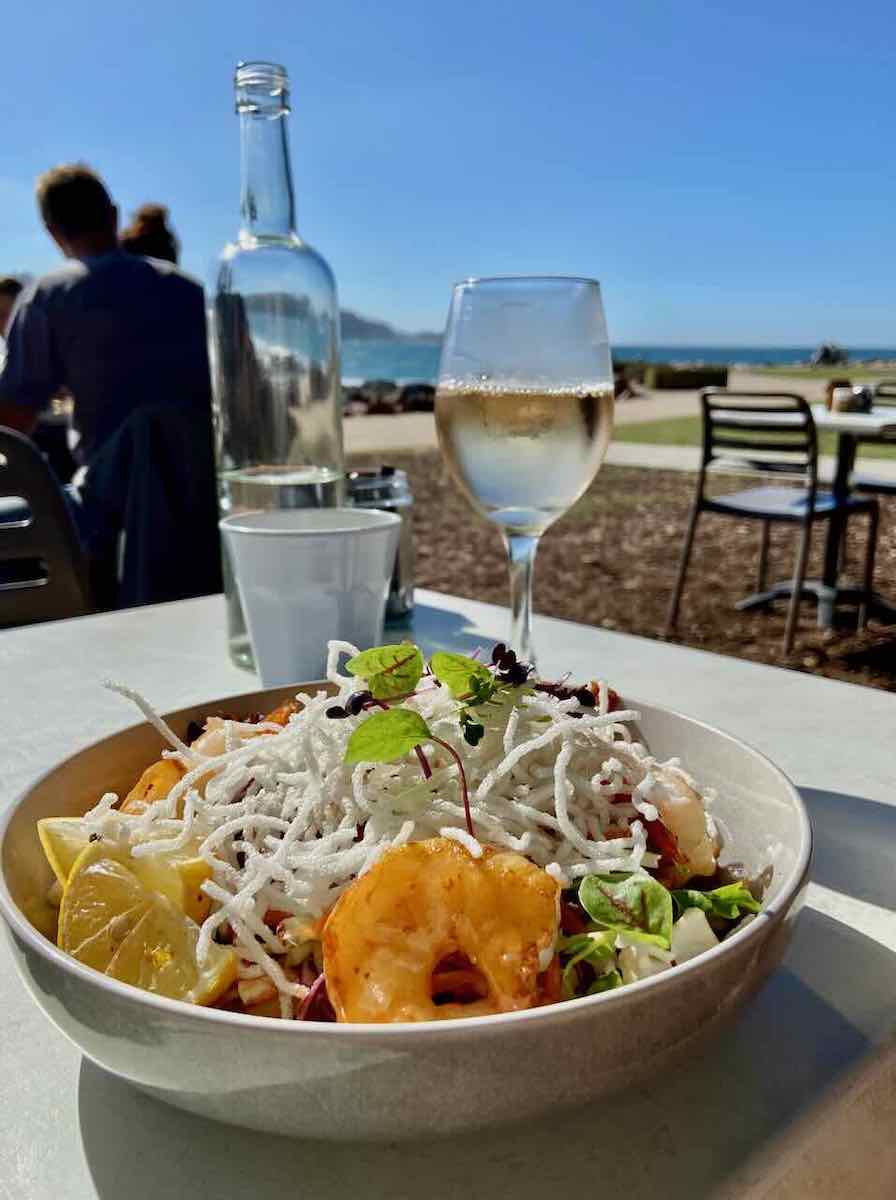 Dog-Friendly Central Coast, NSW: Visiting with a Dog - Travelnuity