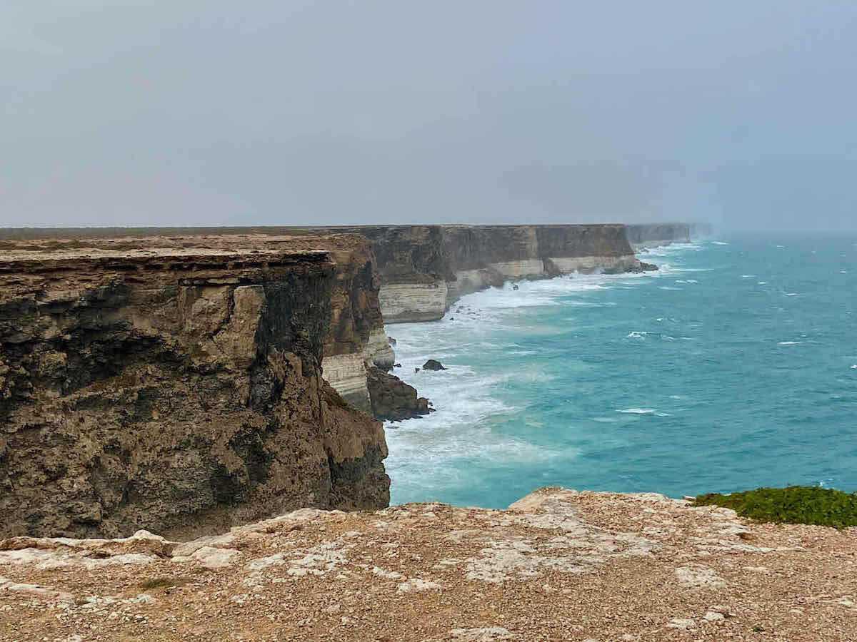 Dog-Friendly Nullarbor: Driving the Nullarbor with a Dog - Travelnuity