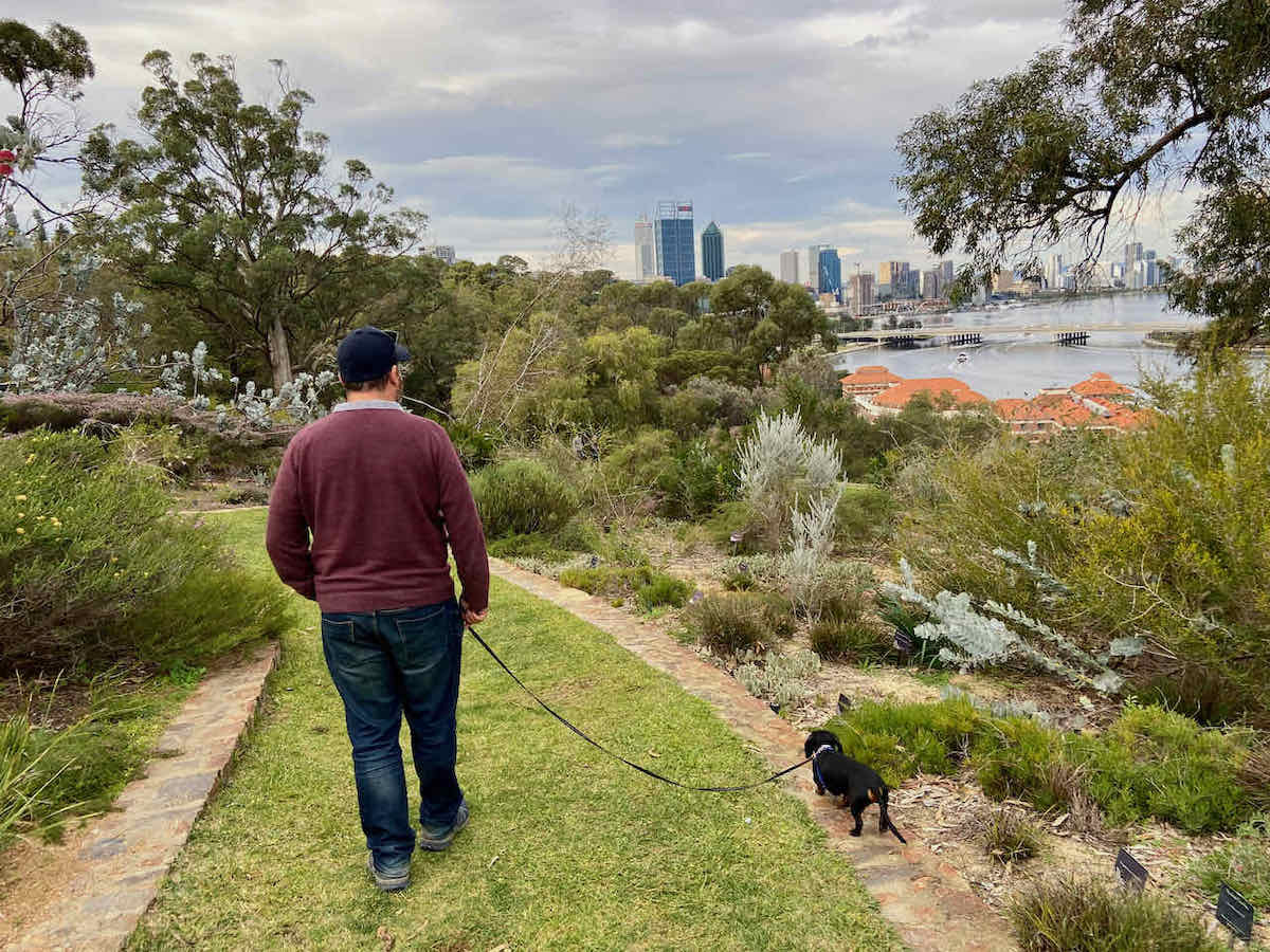 Dog-Friendly Perth, WA: Visiting Perth with a Dog - Travelnuity