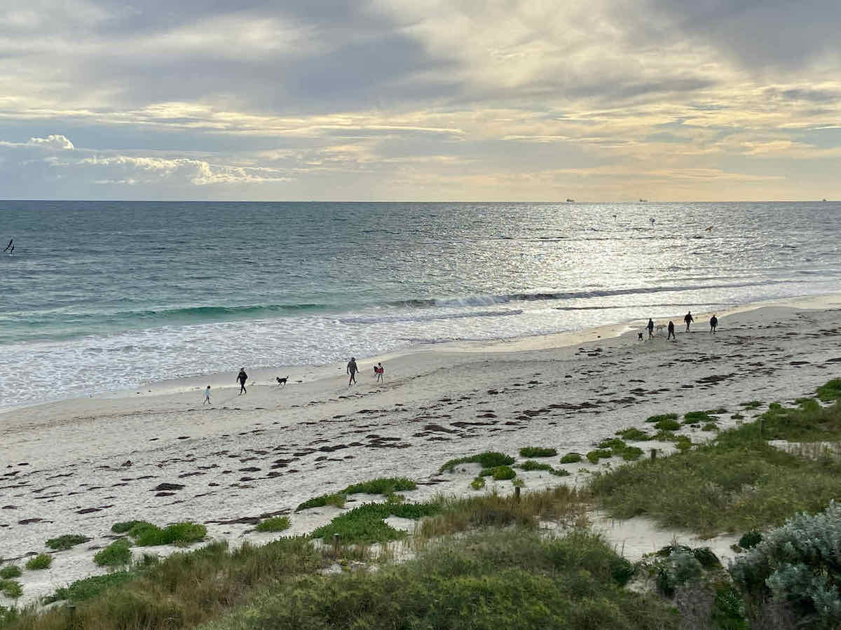 Dog-Friendly Perth, WA: Visiting Perth with a Dog - Travelnuity
