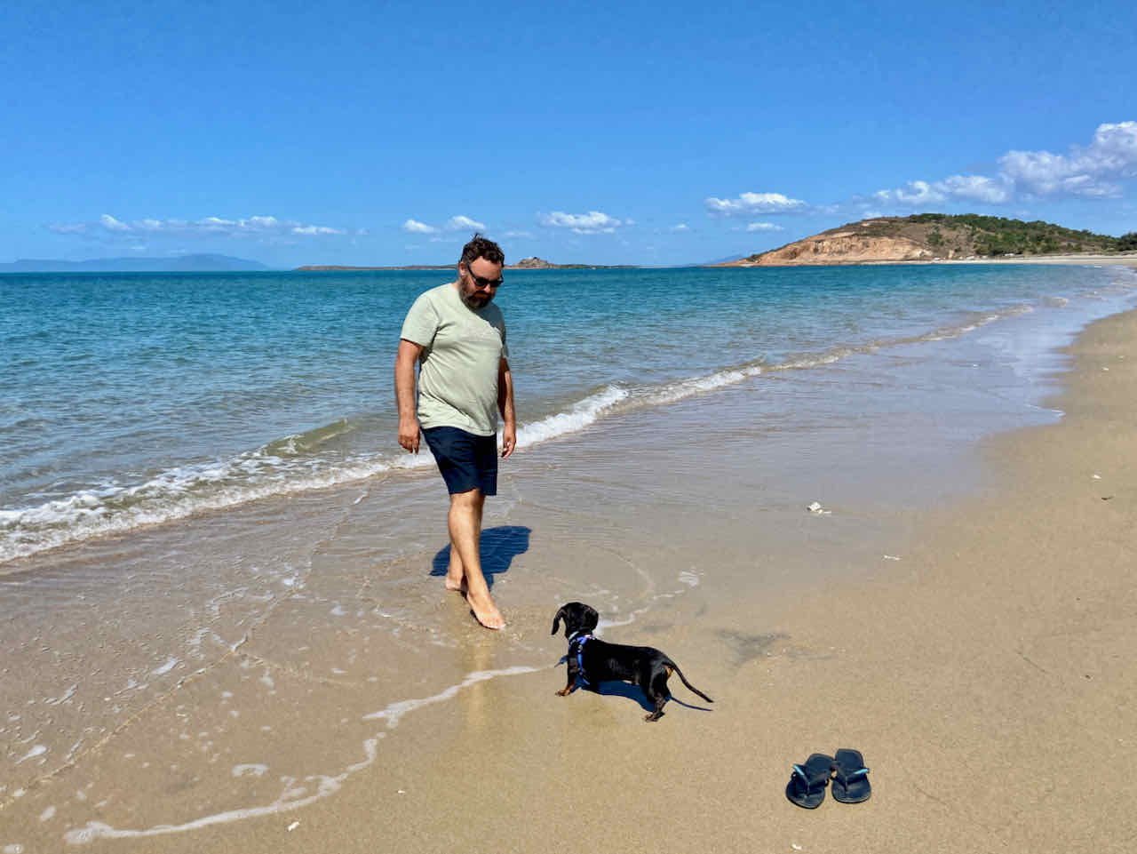 15 of the Best Dog-Friendly Beaches in Queensland - Travelnuity