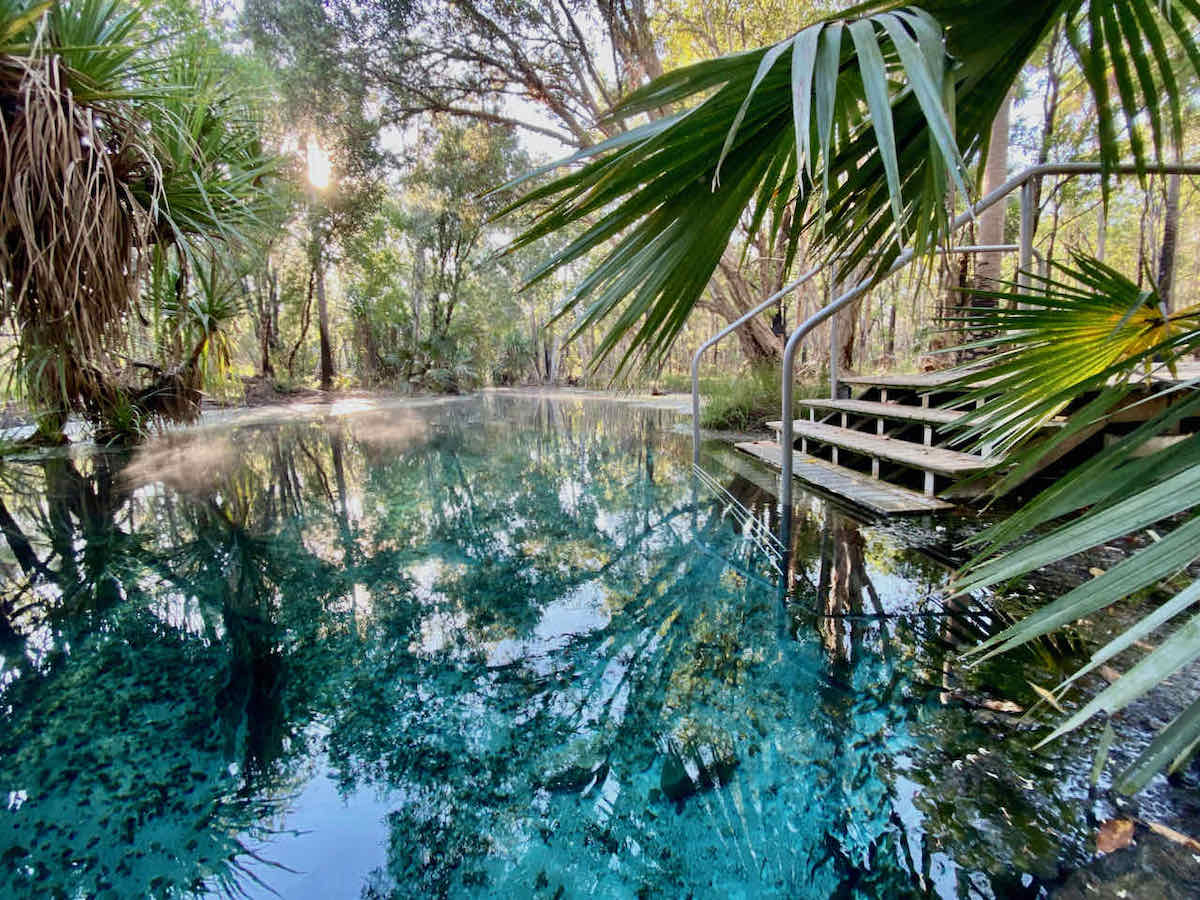 Dog-Friendly Northern Territory: Travelling with a Dog - Travelnuity