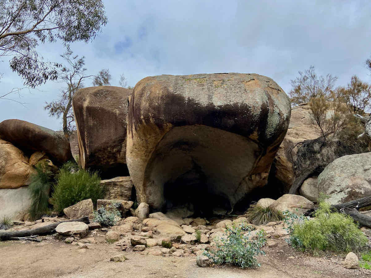 Dog-Friendly Wave Rock: Visiting Wave Rock with a Dog - Travelnuity