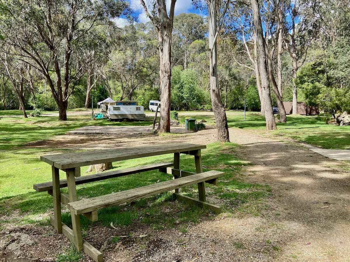 12 Extra Dog-Friendly Caravan Parks in Victoria - Travelnuity