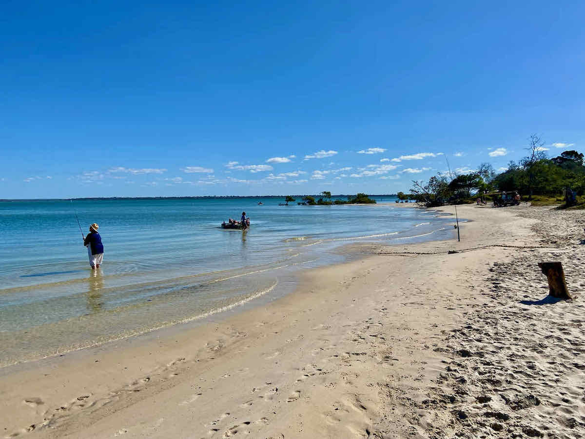 What National Parks in Australia are Dog-Friendly? - Travelnuity