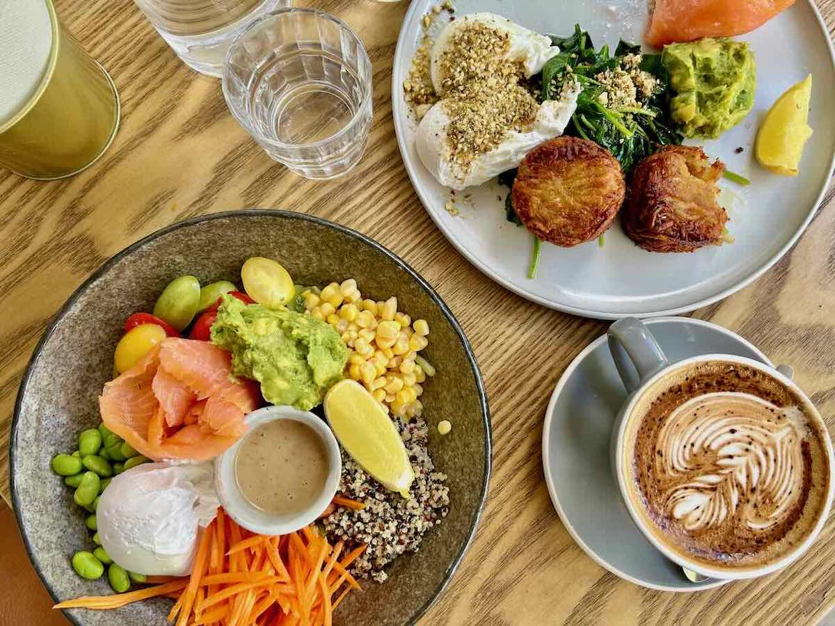 Dog-Friendly Sydney, NSW: Visiting Sydney with a Dog - Travelnuity