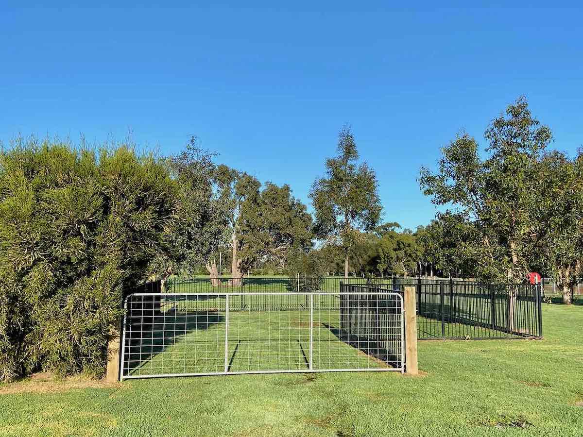 11 Dog-Friendly Caravan Parks in Australia with Fenced Sites - Travelnuity