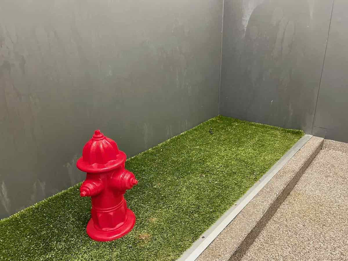 Pet Relief Areas at Airports in Central & South America - Travelnuity