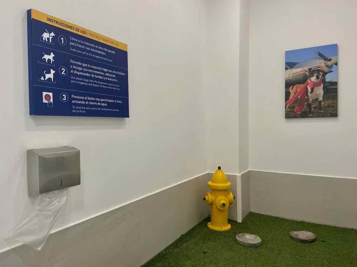 Pet Relief Areas at Airports in Central & South America - Travelnuity