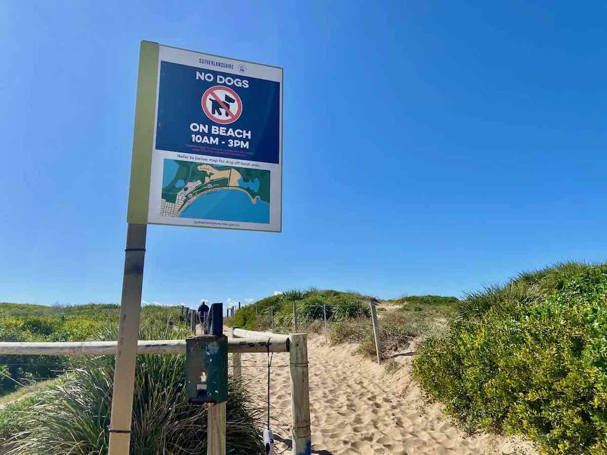 Visiting Cronulla Dog Beach with a Dog - Travelnuity