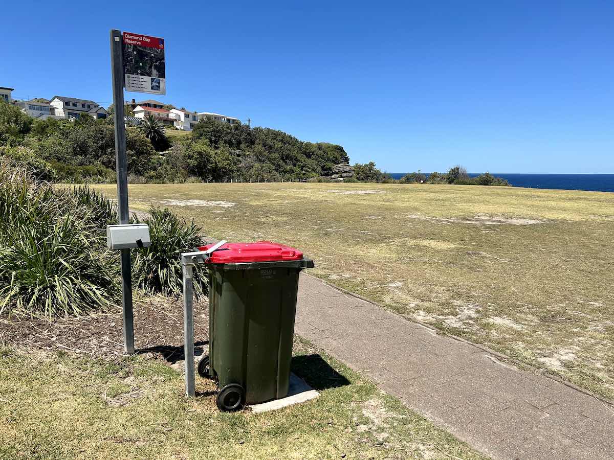 Walking the Federation Cliff Walk with a Dog - Travelnuity