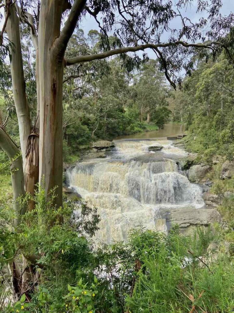 7 Dog-Friendly Waterfalls in Victoria to Visit - Travelnuity