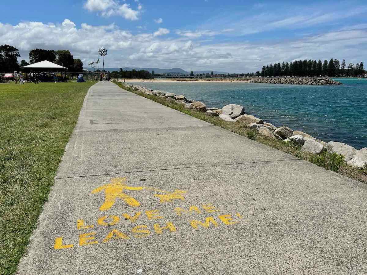 Dog-Friendly Shellharbour: Visiting with a Dog - Travelnuity