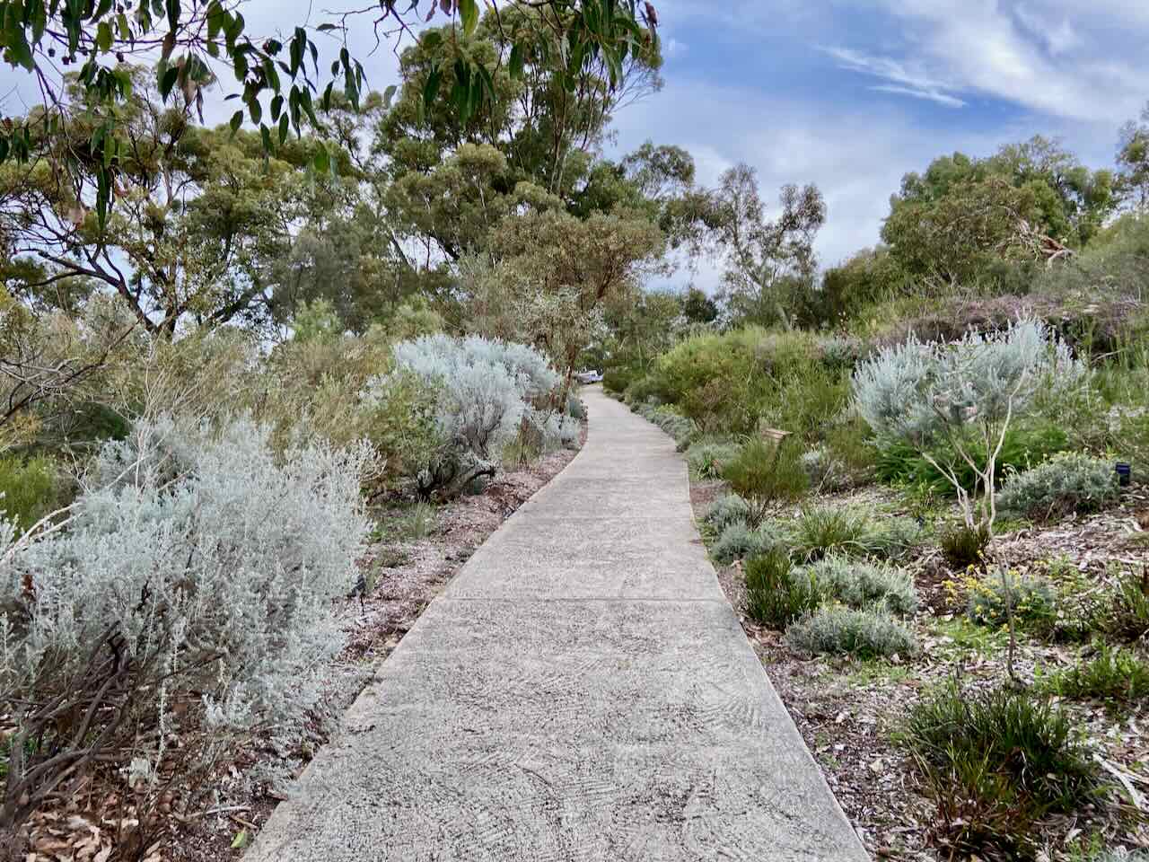 Dog-Friendly Perth, WA: Visiting Perth with a Dog - Travelnuity