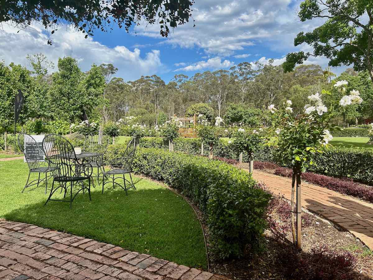 Dog-Friendly Hunter Valley, NSW: Visiting with a Dog - Travelnuity