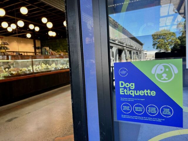 Are Dogs Allowed in Shopping Centres in Australia? - Travelnuity