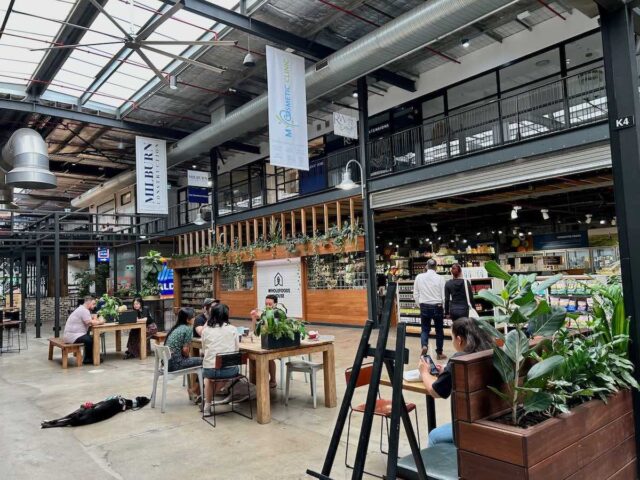 Are Dogs Allowed in Shopping Centres in Australia? - Travelnuity