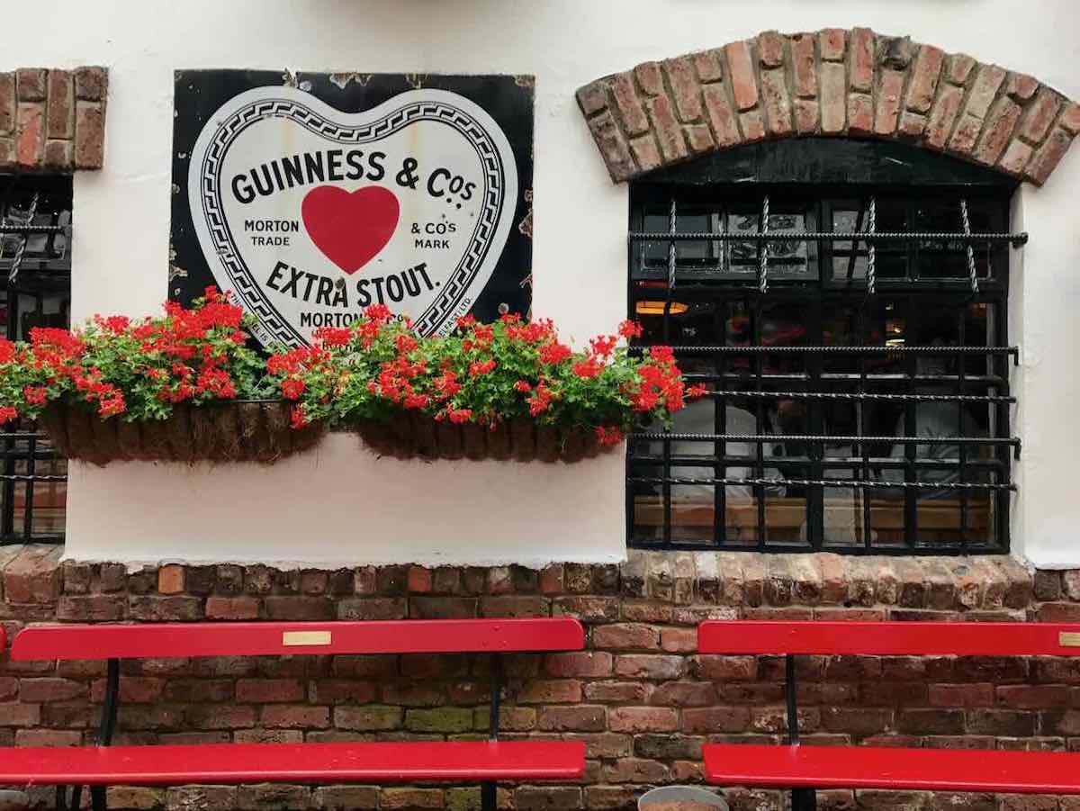 Dog-Friendly Belfast: Visiting Belfast with a Dog - Travelnuity