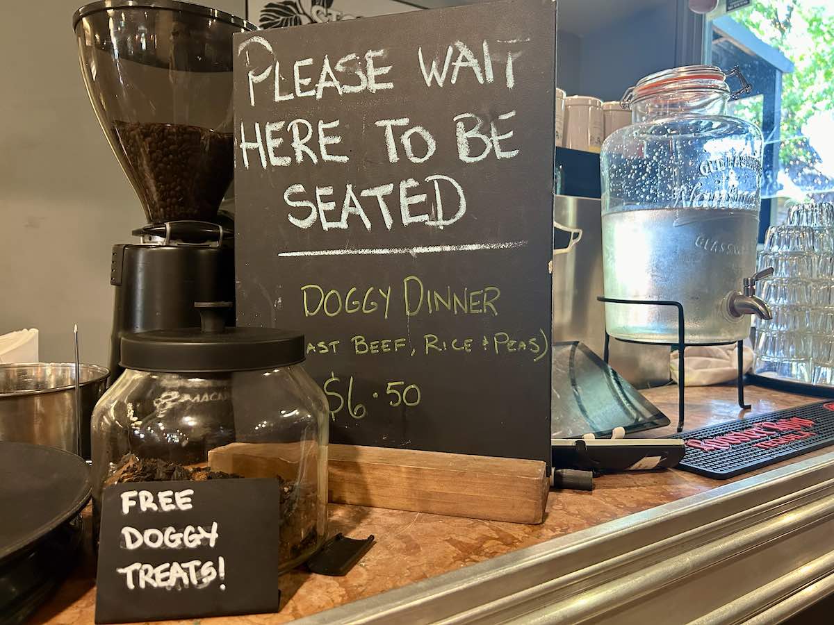 13 of the Best Dog-Friendly Pubs in Sydney - Travelnuity