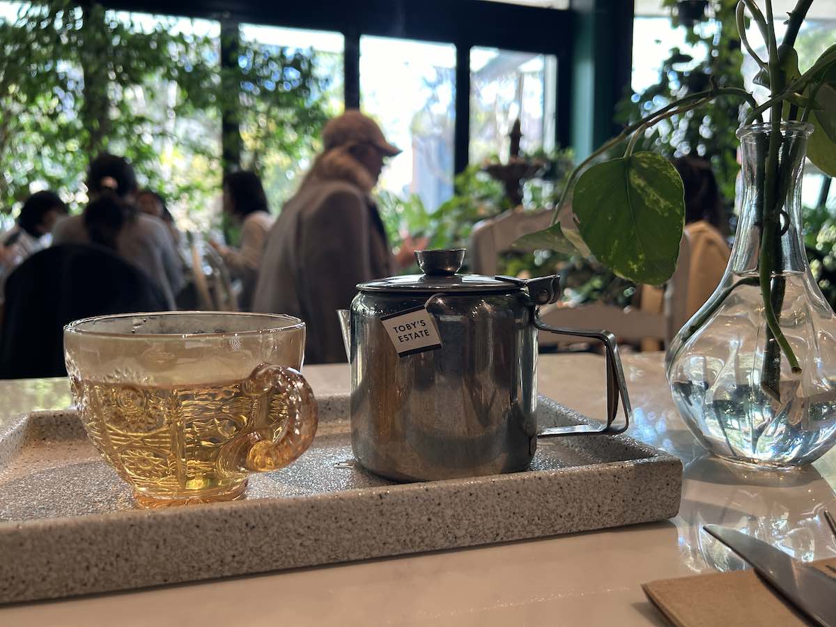 Dog-Friendly Sydney, NSW: Visiting Sydney with a Dog - Travelnuity