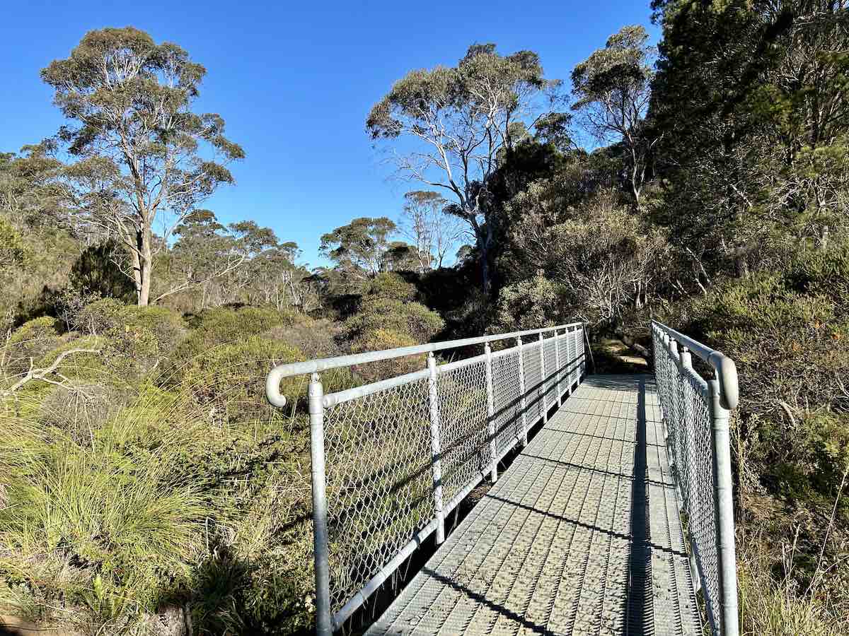 13 Top Dog-Friendly Walks in the Blue Mountains - Travelnuity