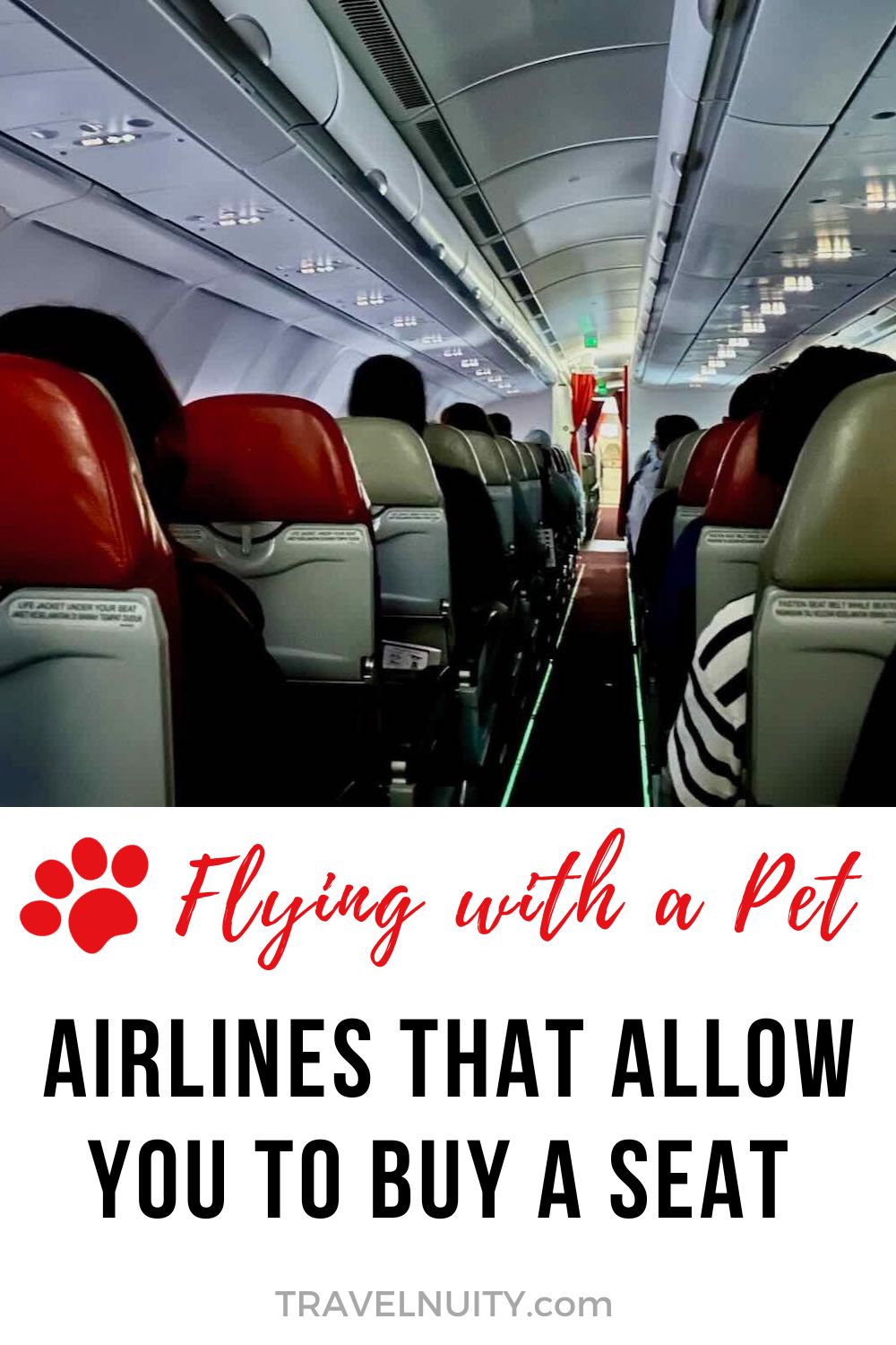 Which Airlines Will Allow You Buy a Seat for Your Dog? - Travelnuity