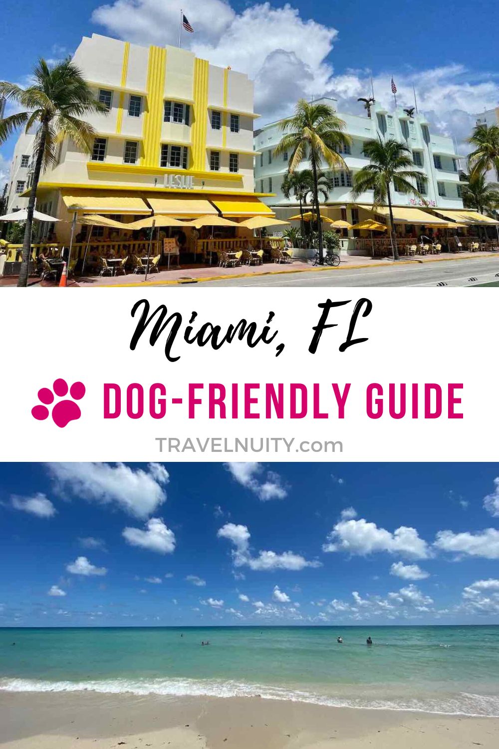 Dog-Friendly Miami: Visiting Miami with a Dog - Travelnuity