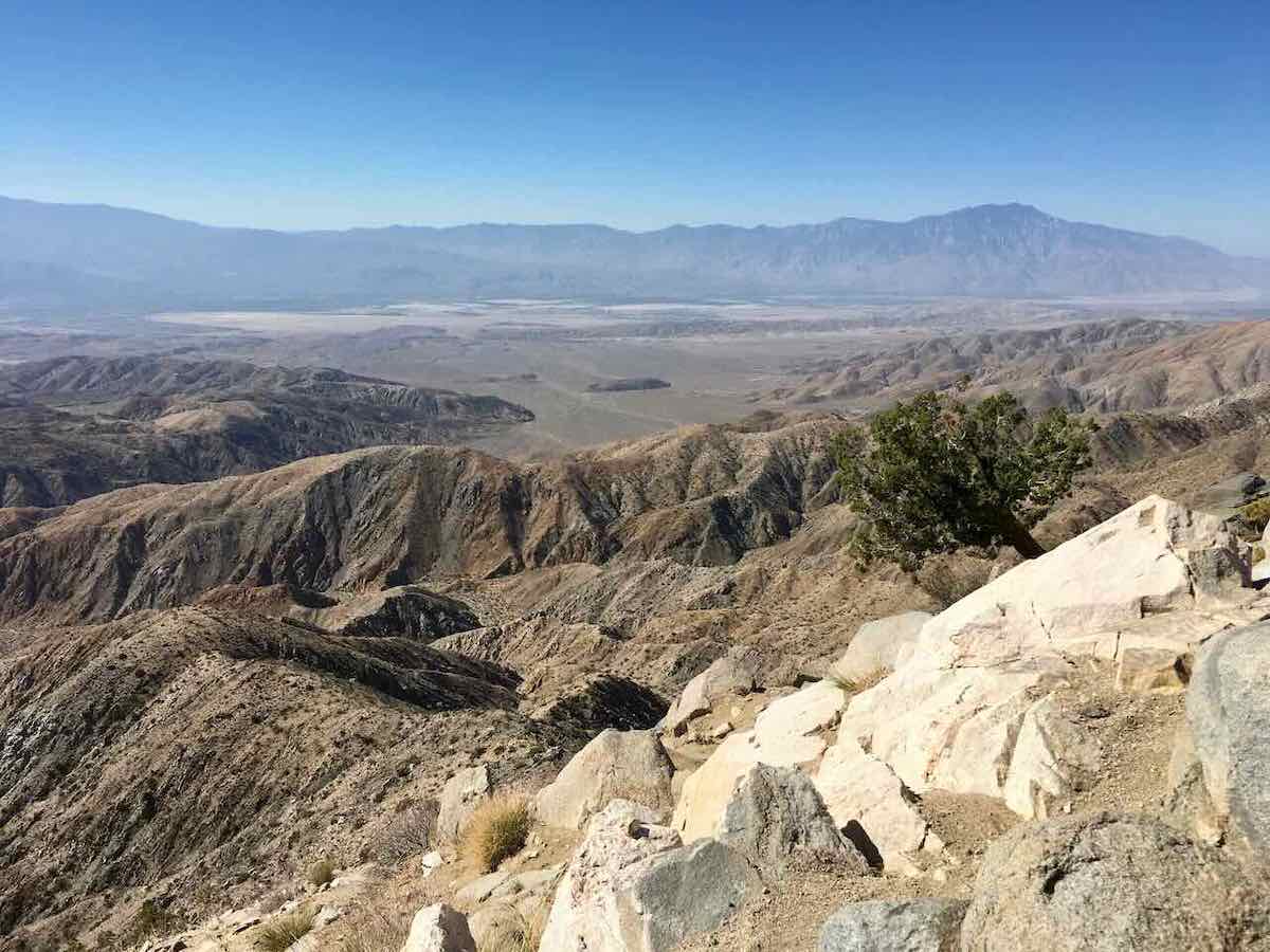 Should I Visit Joshua Tree National Park with My Dog? - Travelnuity