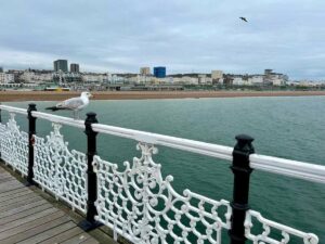 Dog-Friendly Brighton, UK: Visiting Brighton with a Dog - Travelnuity