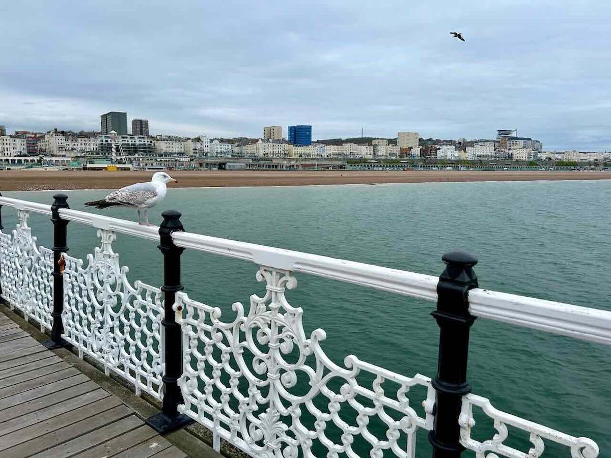 Dog-Friendly Brighton, UK: Visiting Brighton with a Dog - Travelnuity