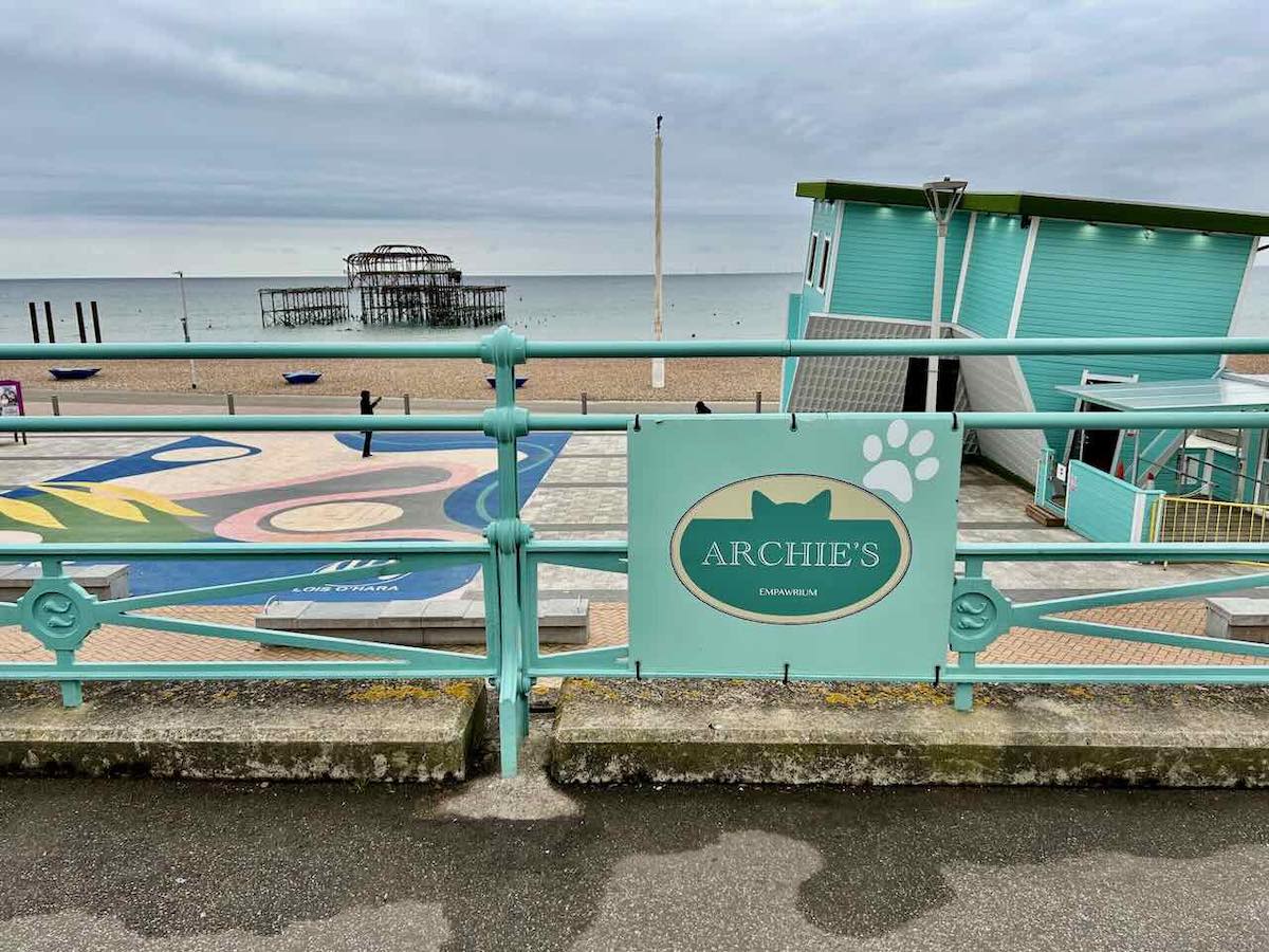 Dog-Friendly Brighton, UK: Visiting Brighton with a Dog - Travelnuity