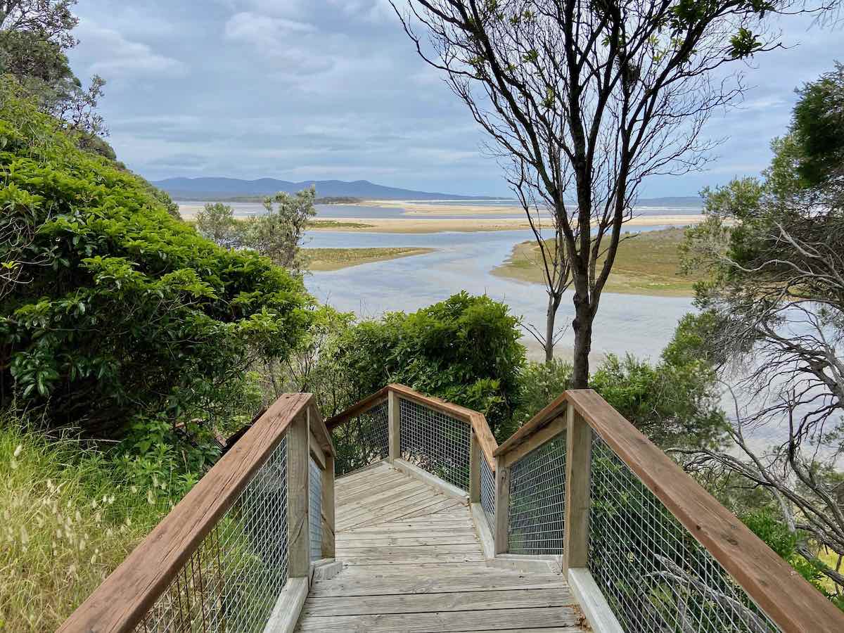 15 Year-Round Dog-Friendly Caravan Parks Along the Gippsland Coast ...