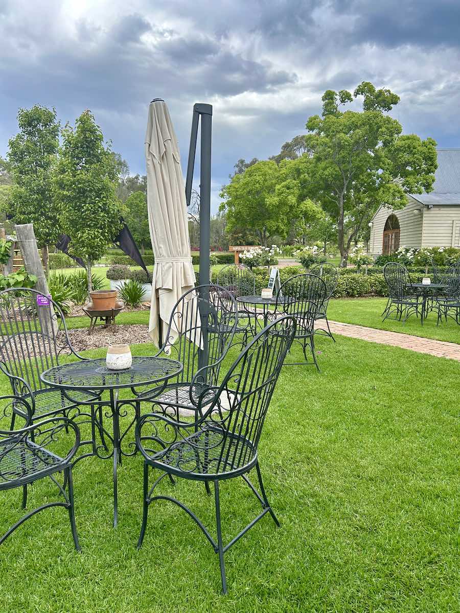 9 of the Best Dog-Friendly Wineries in the Hunter Valley - Travelnuity