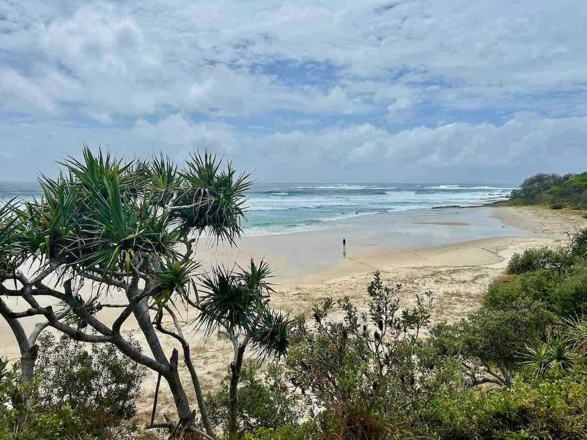 Dog-Friendly North Stradbroke Island: Visiting with a Dog - Travelnuity