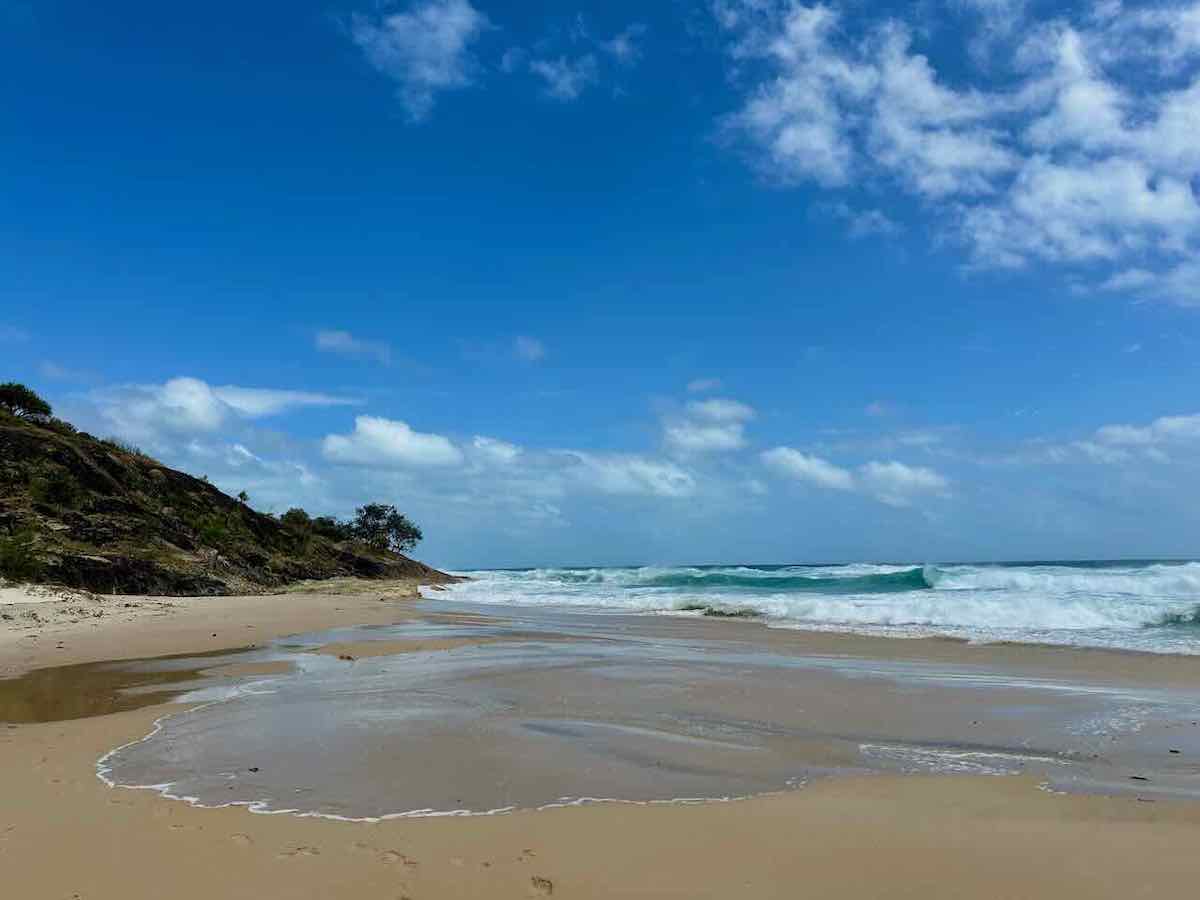 Dog-Friendly North Stradbroke Island: Visiting with a Dog - Travelnuity