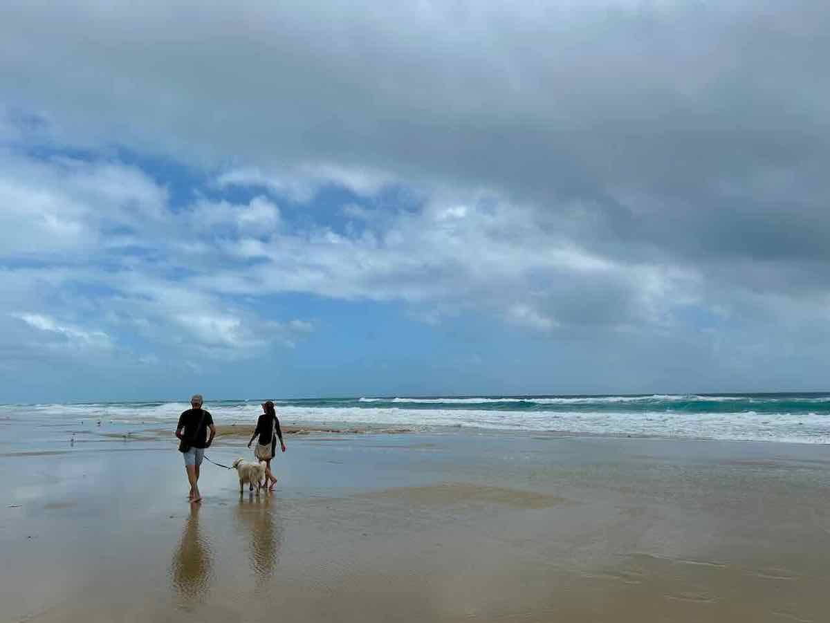 Dog-Friendly North Stradbroke Island: Visiting with a Dog - Travelnuity