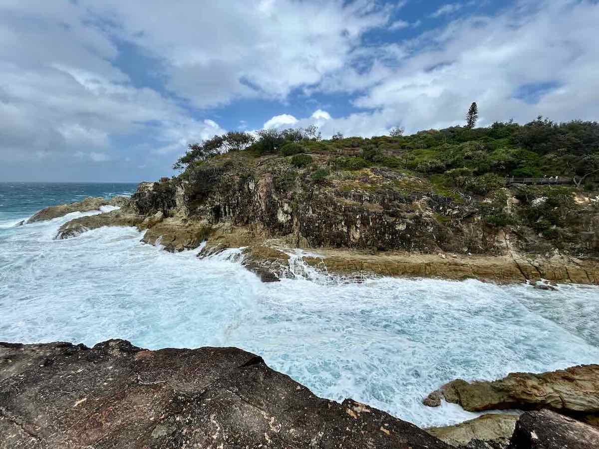 Dog-Friendly North Stradbroke Island: Visiting with a Dog - Travelnuity