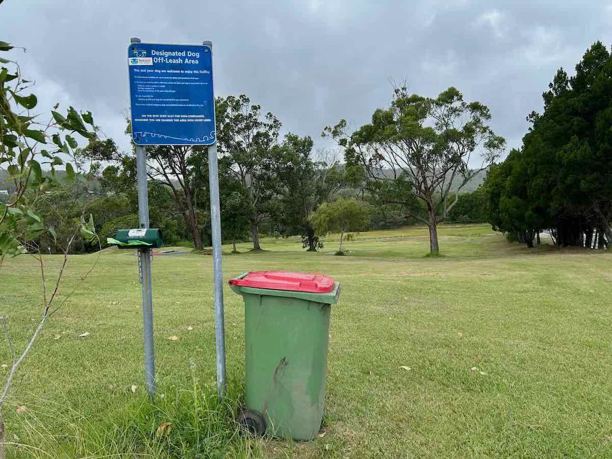 Dog-Friendly North Stradbroke Island: Visiting with a Dog - Travelnuity