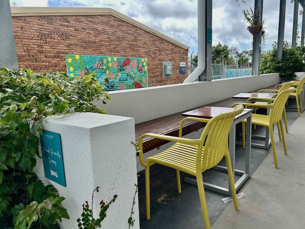 Dog-Friendly North Stradbroke Island: Visiting with a Dog - Travelnuity